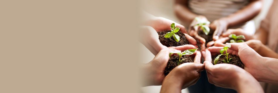 Governance - SK D&D ESG